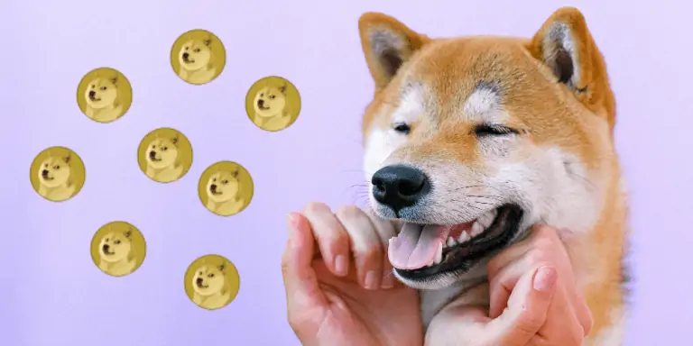 What Kind of Dog is Doge? | Dog Breeds FAQ