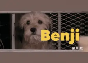 What Type of Dog Is Benji? | Dog Breeds FAQ