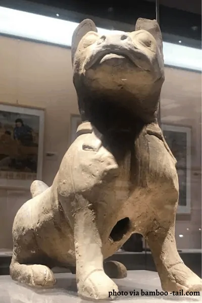 21 Popular Chinese Dog Breeds List ( Alphabetical )